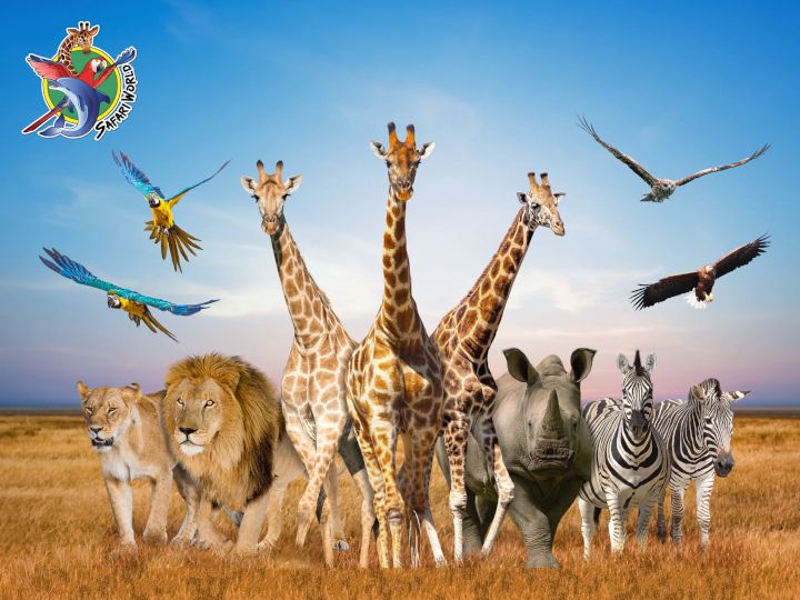 Safari World Discounted Tickets | $20.97 - Book Best Price Tour ...