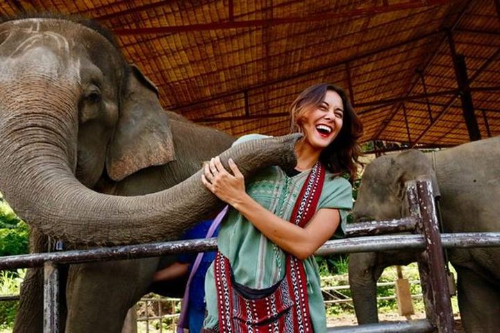Maeklang elephant conservation community - Full day program, visit 2 ...