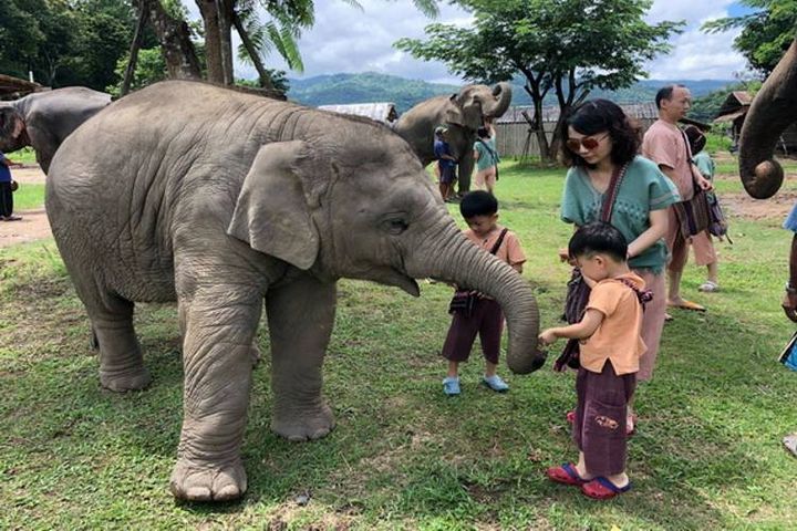 Maeklang elephant conservation community - Full day program, visit 2 ...