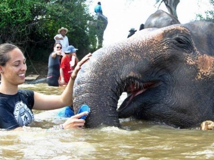 Maeklang Elephant Conservation Community 2 Days 1 Night (Sky Camp ...